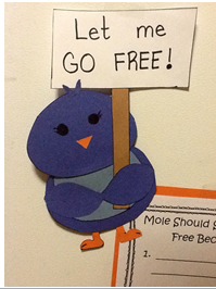 Learning with Firsties: First Grade Reading Street Unit 5 Literacy ...