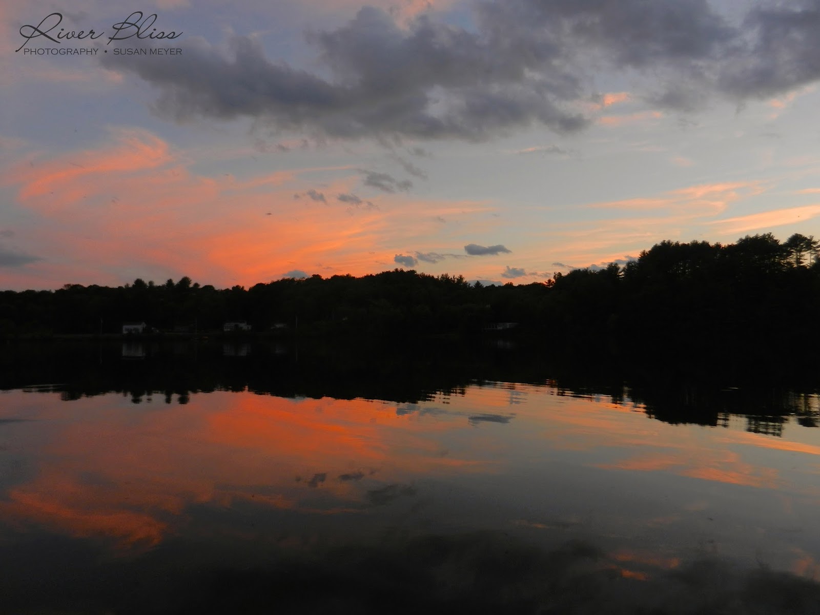 River Bliss: Floating Under the Moonless Sky