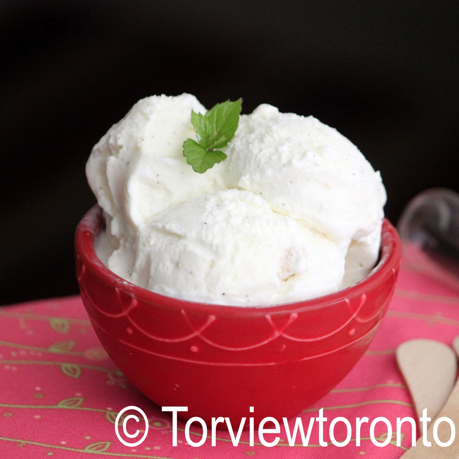 Torviewtoronto Vanilla Ice Cream Without Eggs