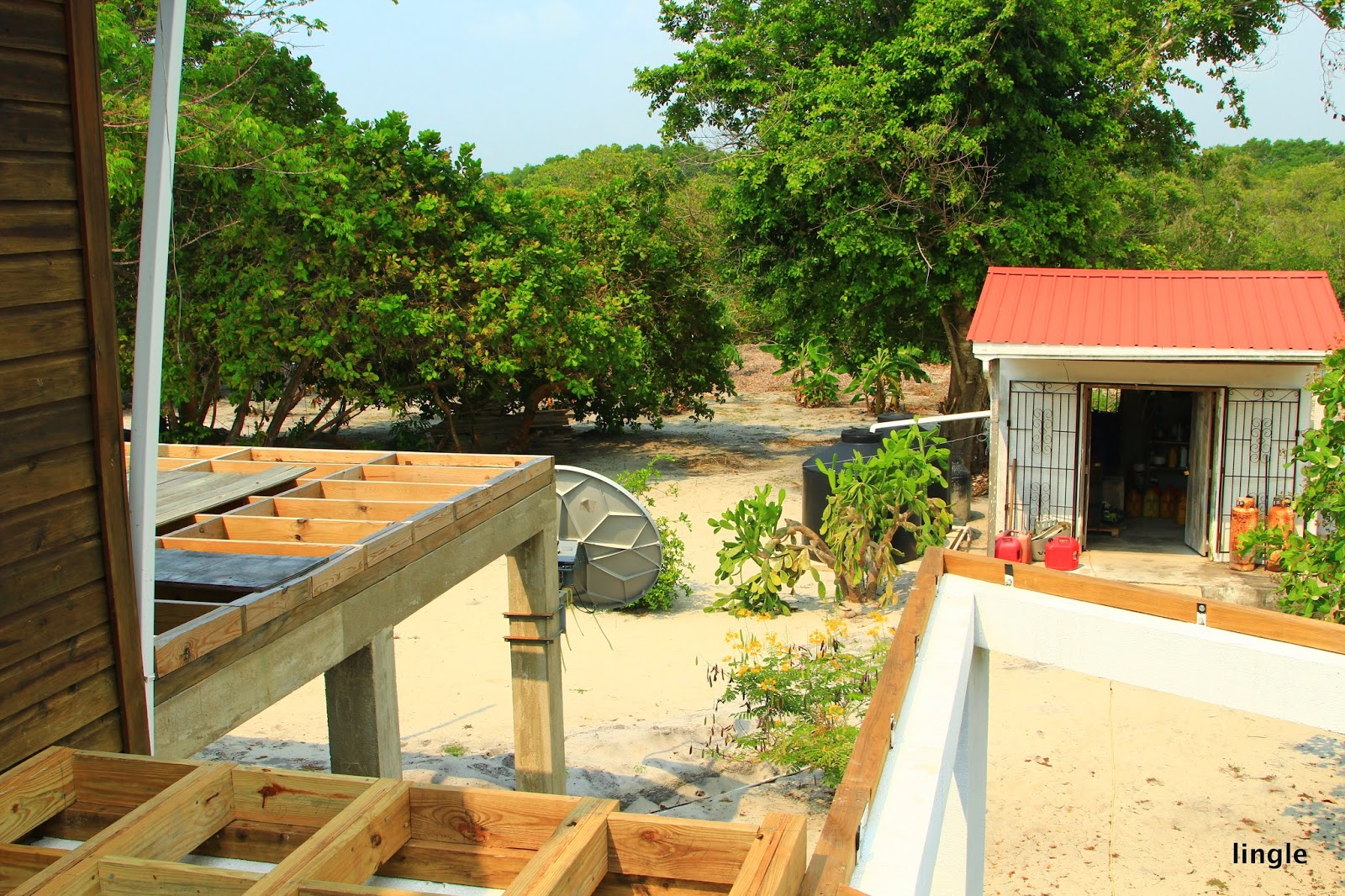 South Englishtown Gazette: Building a Home in Belize - Plus Bonus Birds ...