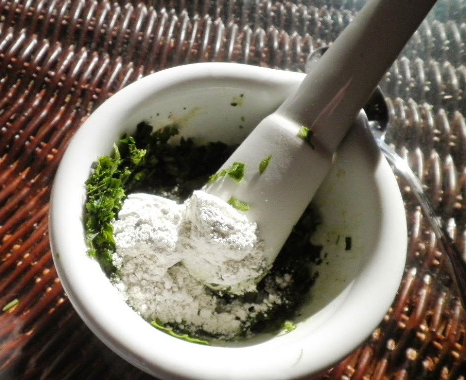 The Essential Herbal Blog: Making a Mini-Poultice