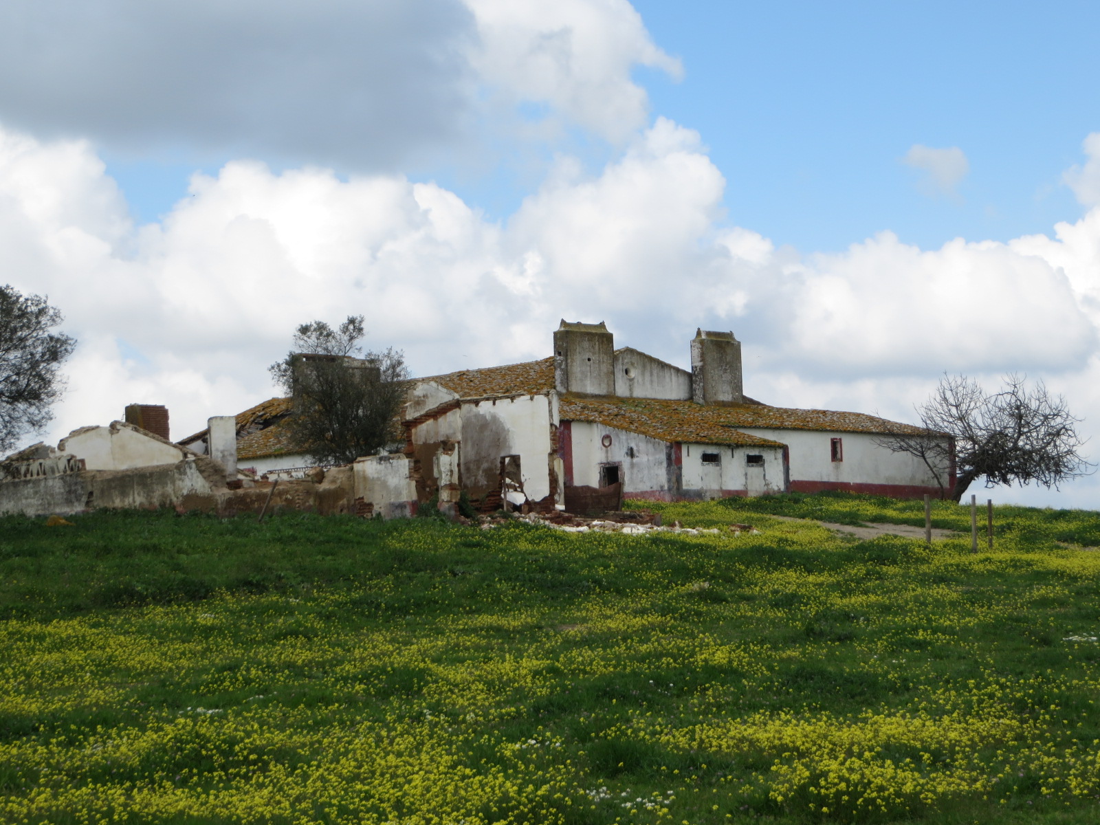 O melhor Alentejo do Mundo: Montes Alentejanos