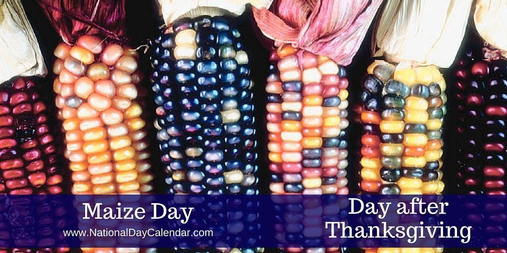 Every Day Is Special: November 23 - Day After Thanksgiving