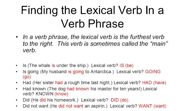 What is Lexical Verb? - English Grammar A To Z