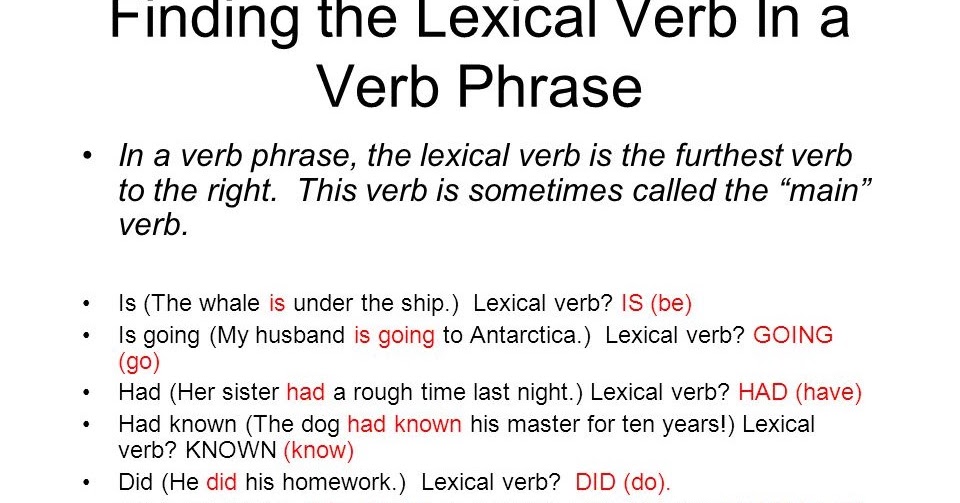 What is Lexical Verb? - English Grammar A To Z