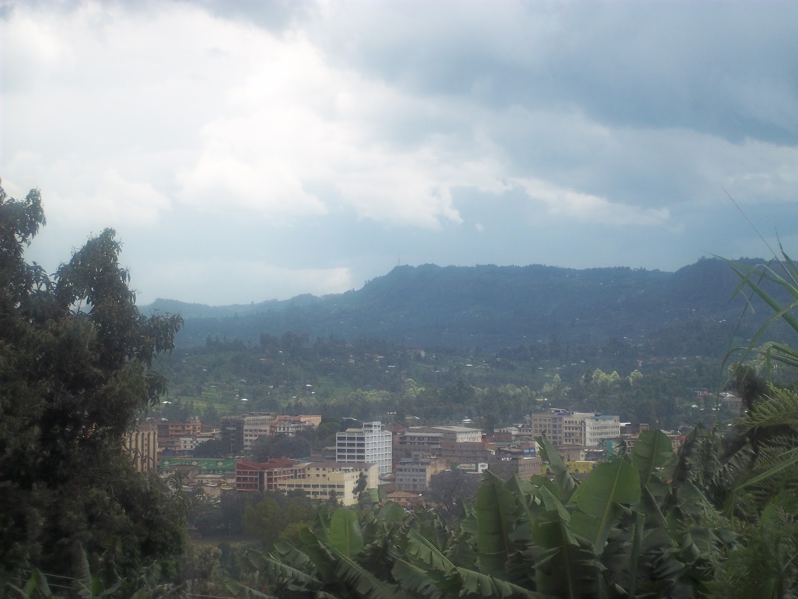 The Man Pulling Radishes: Kisii - town, First Impressions