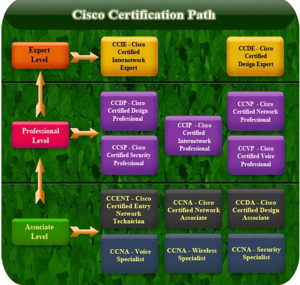 Cisco Certification - Cisco Assessments