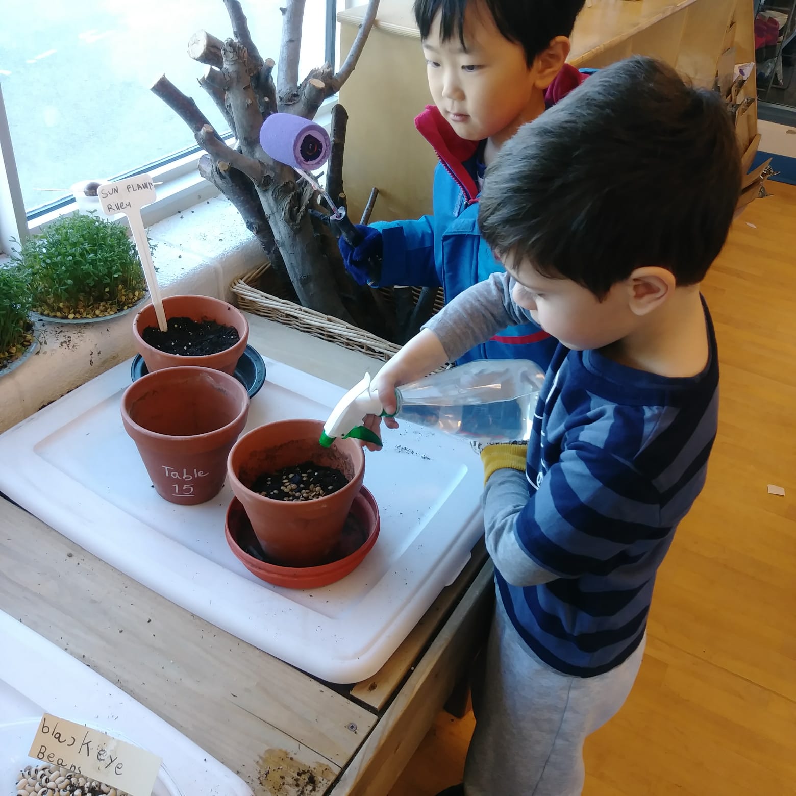 Ms. Gikov's Kinder "garden" Learning Environment: April 2019