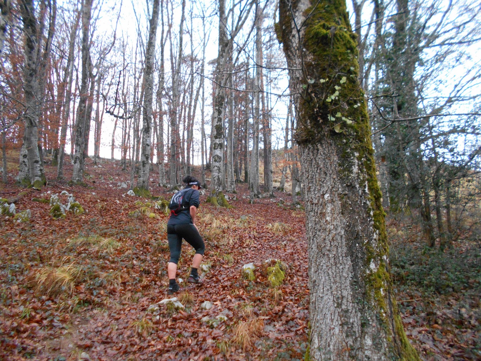 Montagne Passion Trail : Bédat, cot de Ger.