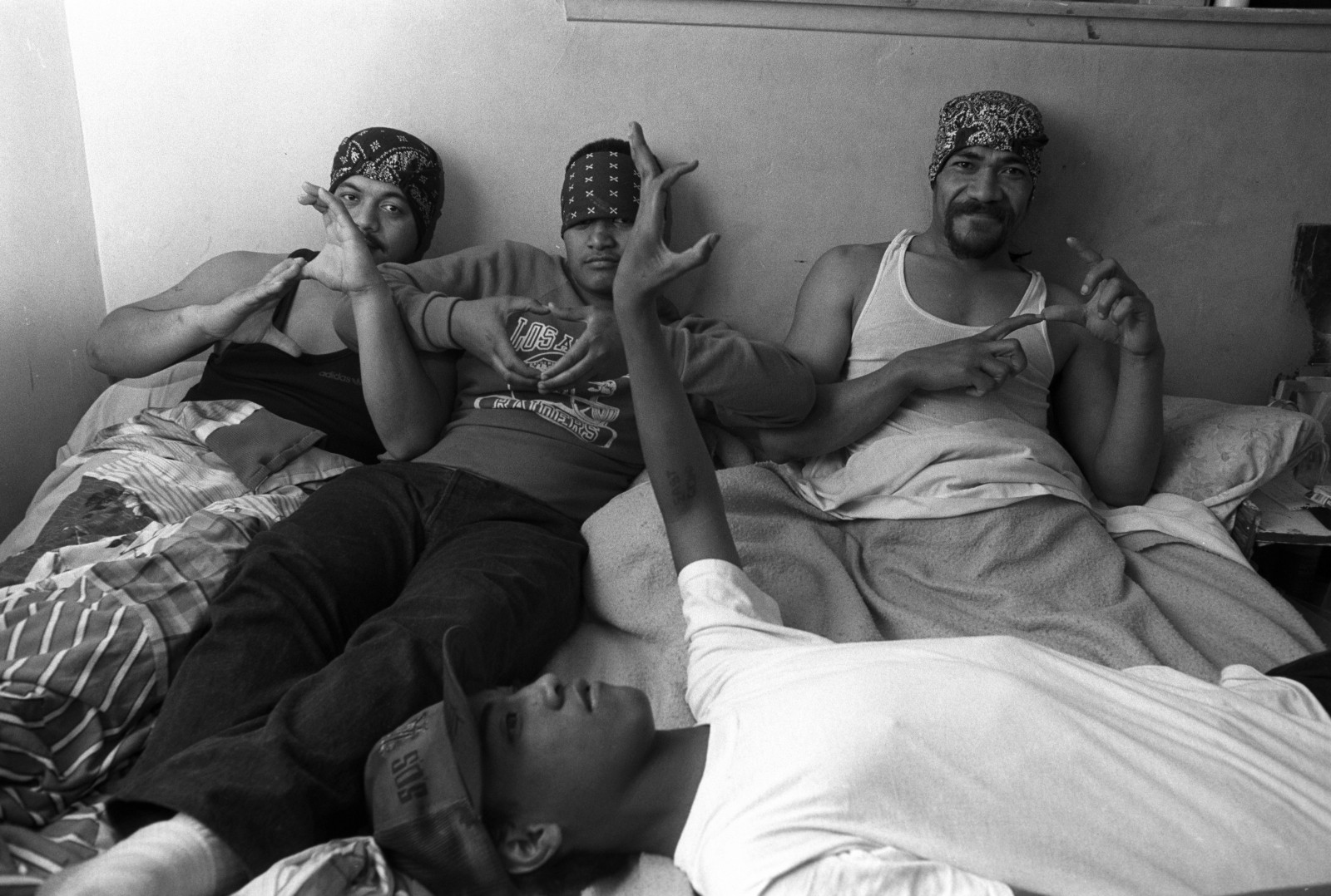 Interesting Black and White Photographs Reveal the Secret Language of ...