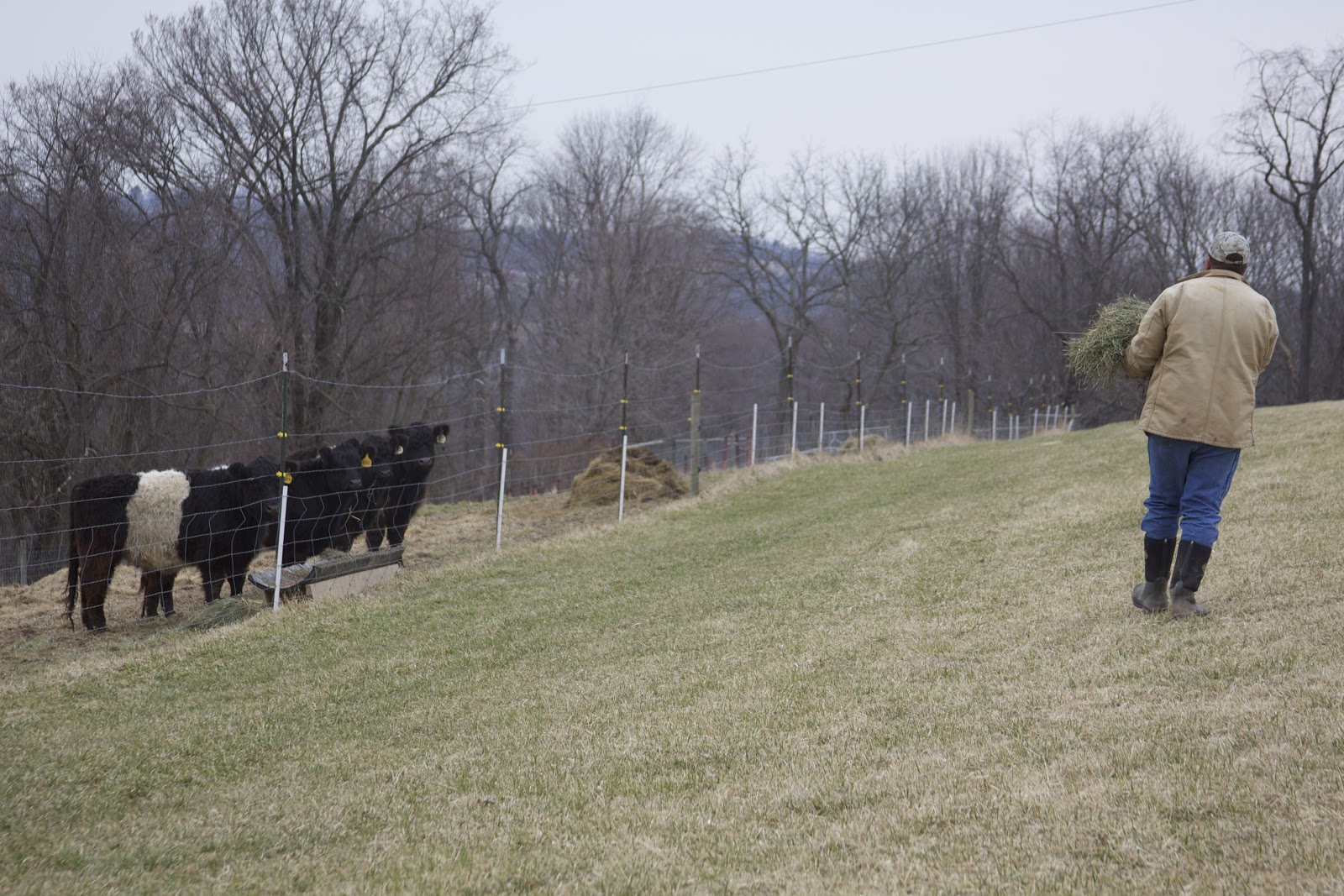 Down On The (Howard Family) Farm