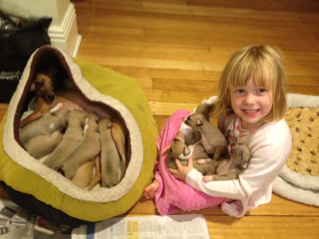 Small Animal Talk: Interview with Simone Bingham: academic, PhD ...