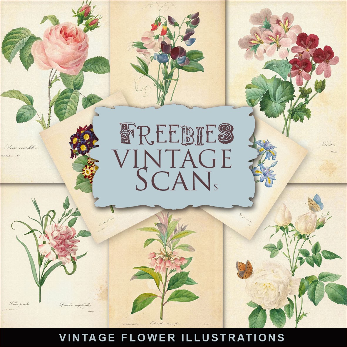Freebies Vintage Flower Illustrations :Far Far Hill - Free database of ...