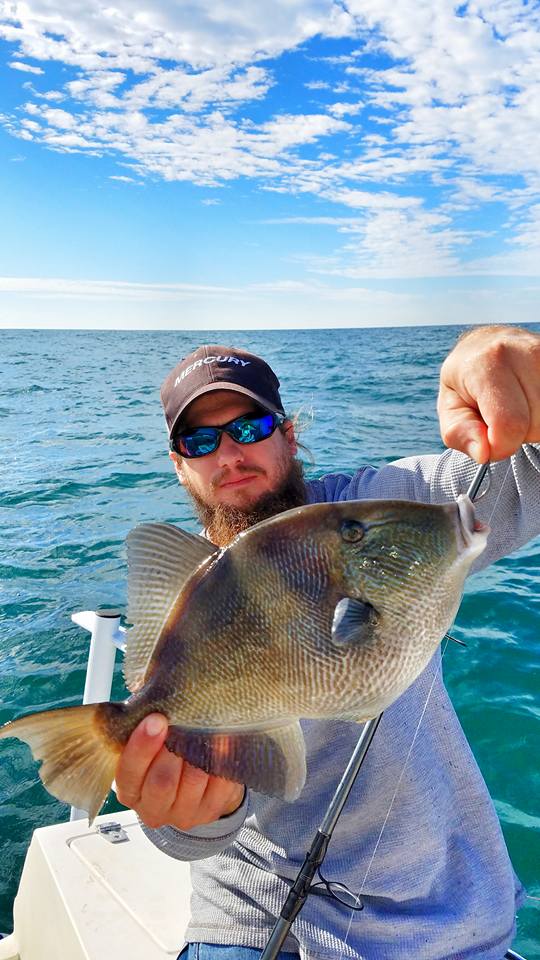 Gulf Currents: Reeling in 2016 and Baiting the Hook for 2017