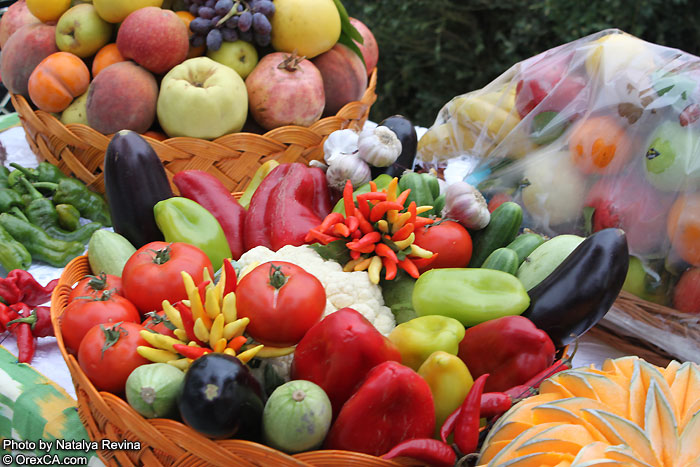 Uzbek Brian: Fruit in Uzbekistan: Photo Collection from A Fruitarian's ...