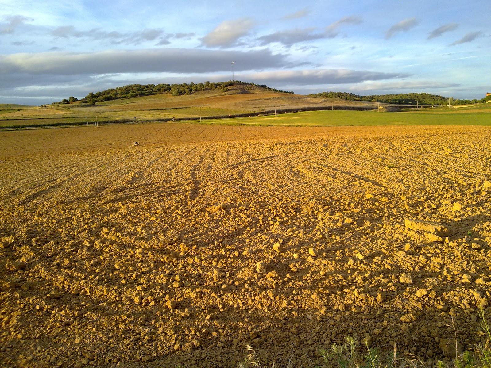 elespantapájarosblogrural: El barbecho, un descanso productivo