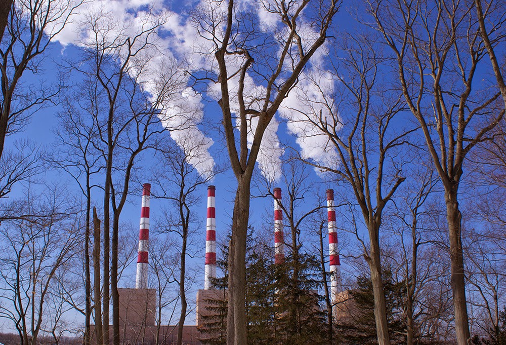 A Picture Each Day: February 2015