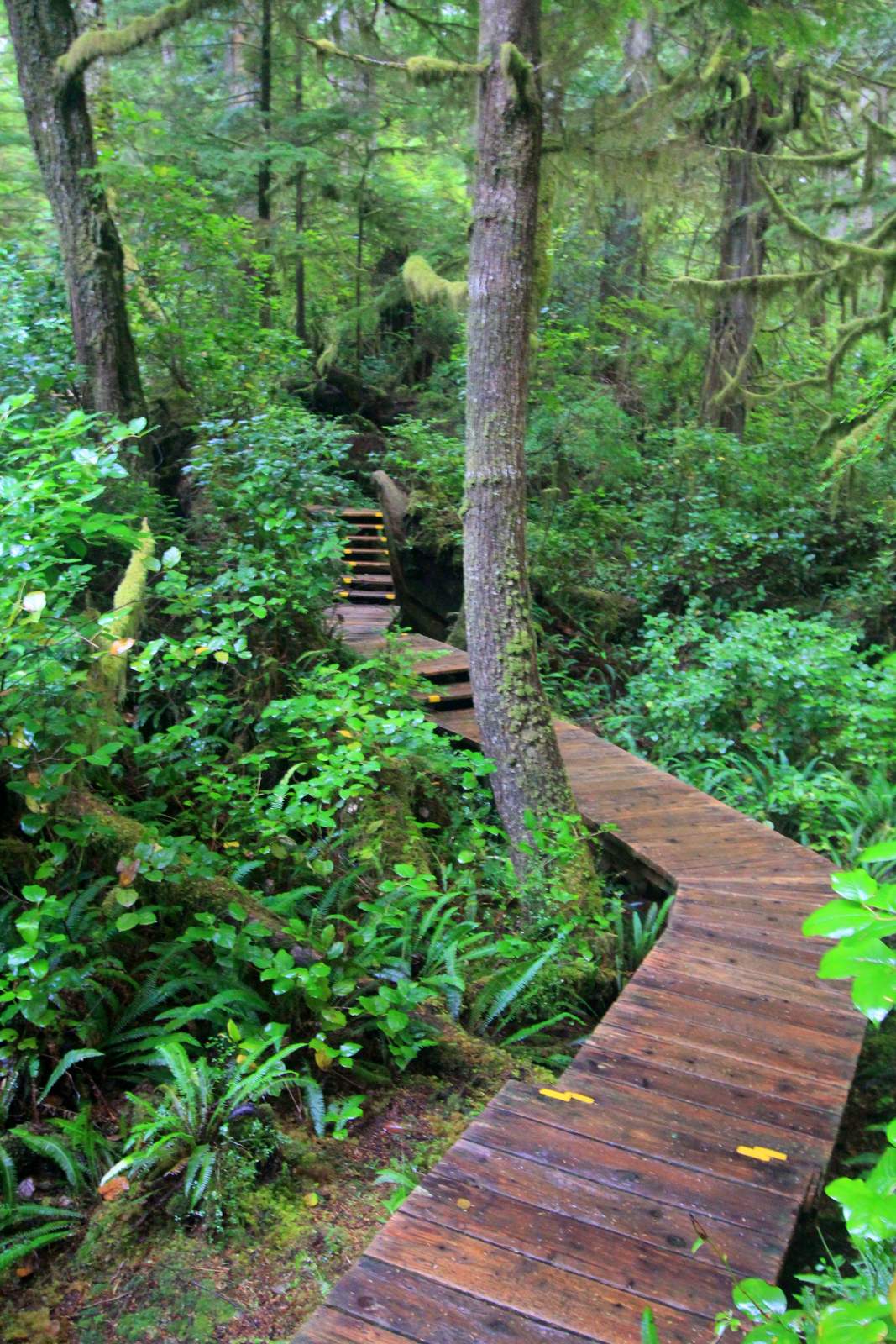 Sailing Sarita: Ewin Cove, Hot Springs Cove, Ahousat and Quait bay.