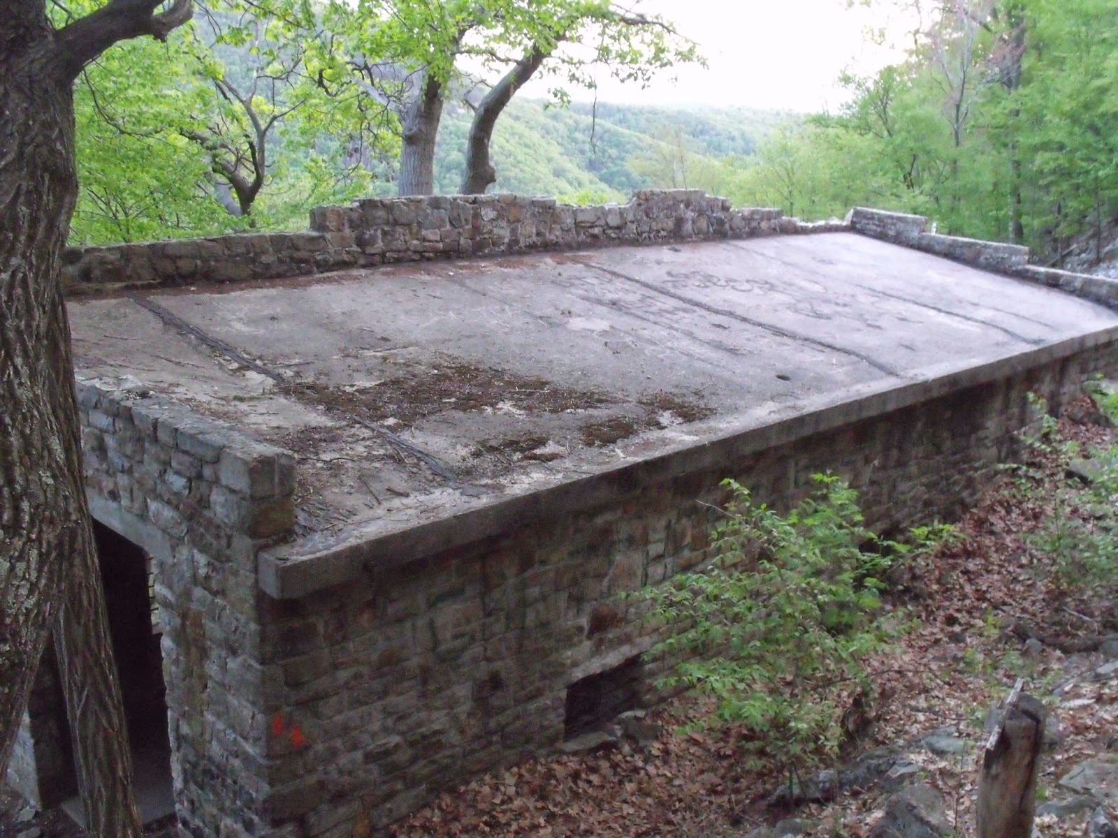 Discovery PA: 1000 Steps Hiking Trail