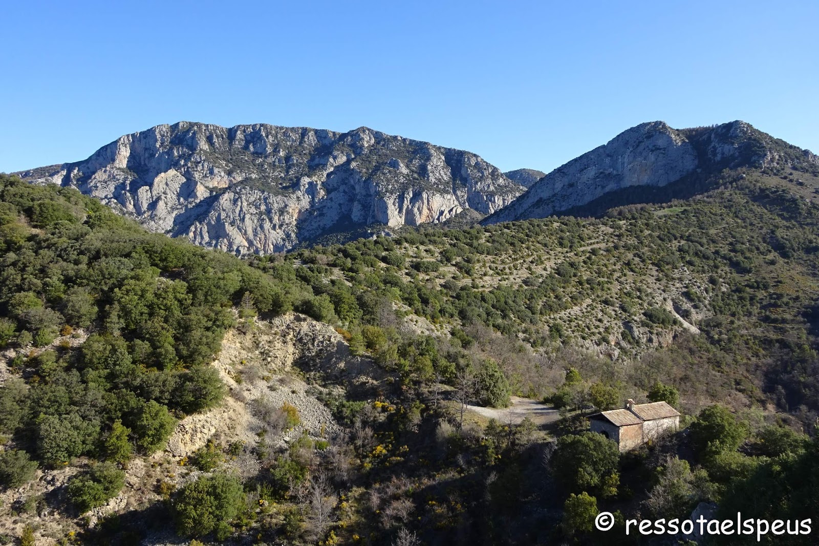 res sota els peus: Ruta circular al roc de Galliner, a la muntanya d'Alinyà