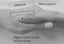 Acupressure Points for High Blood Pressure
