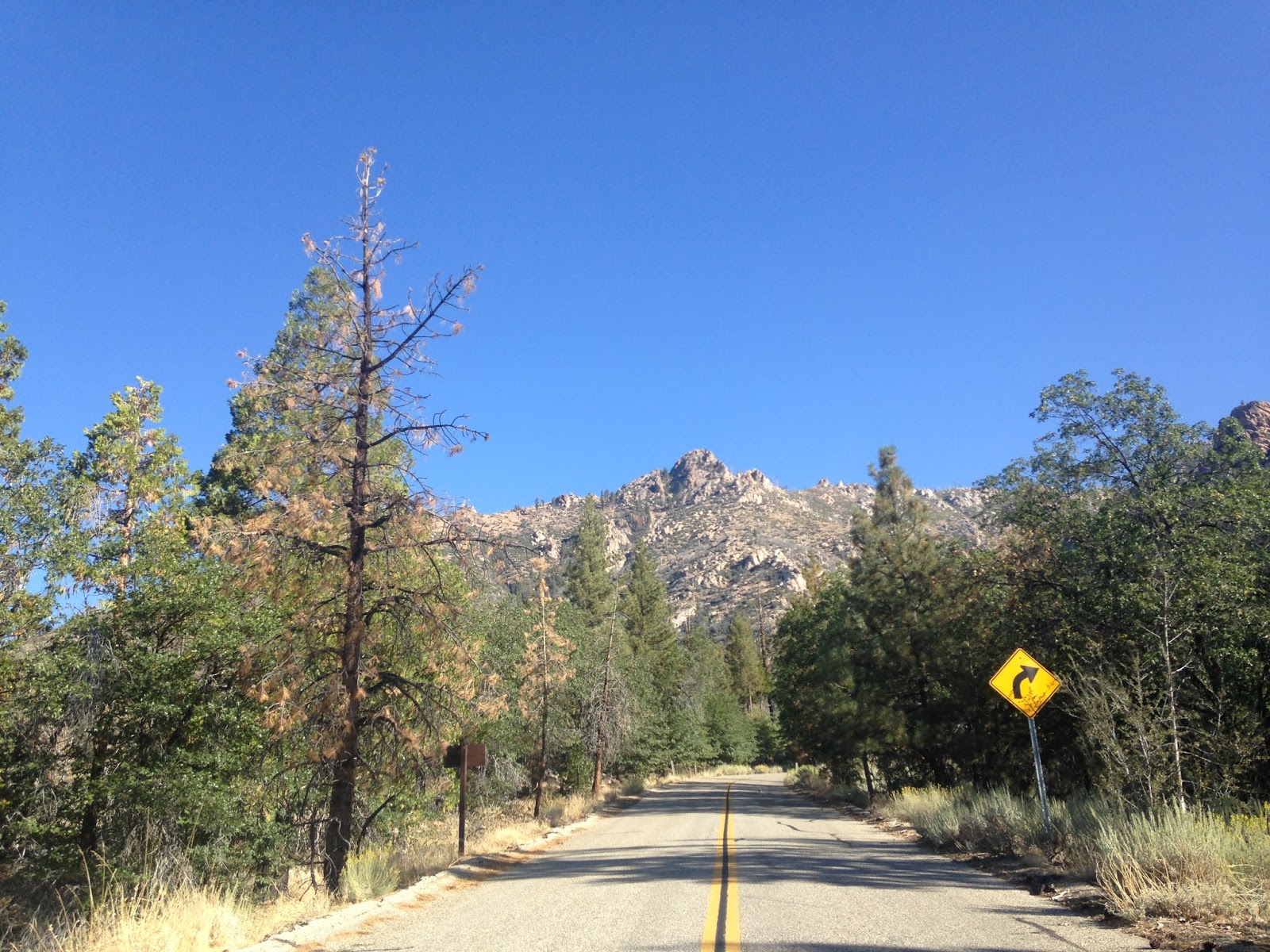 Trans-Sierra Highway Passes; Sherman Pass Road and Signed County Route J41