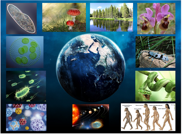 Ciencias Naturales - Secundaria Albores