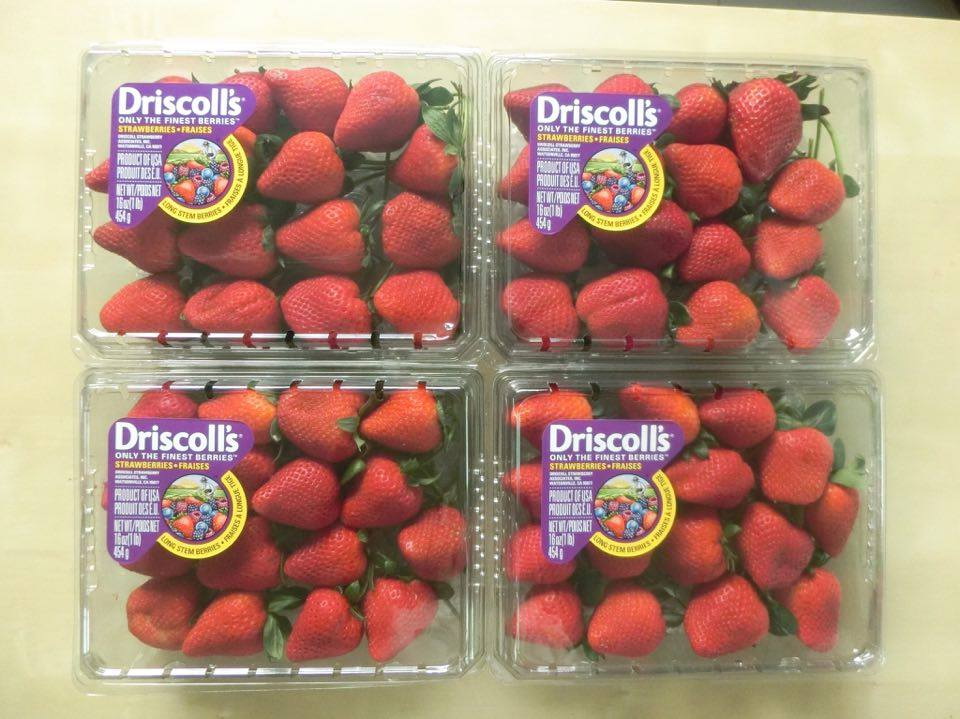 BERRY FRESH: Driscolls Long Stem