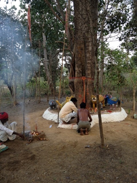 Prash: Tree worship in Madhya Pradesh