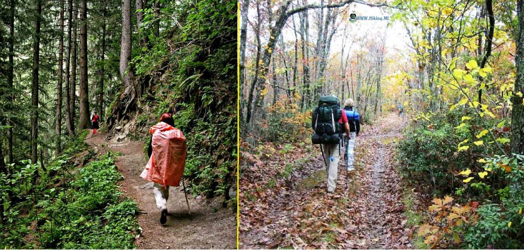 Definition of Hiking | Hiking Tips and Tricks