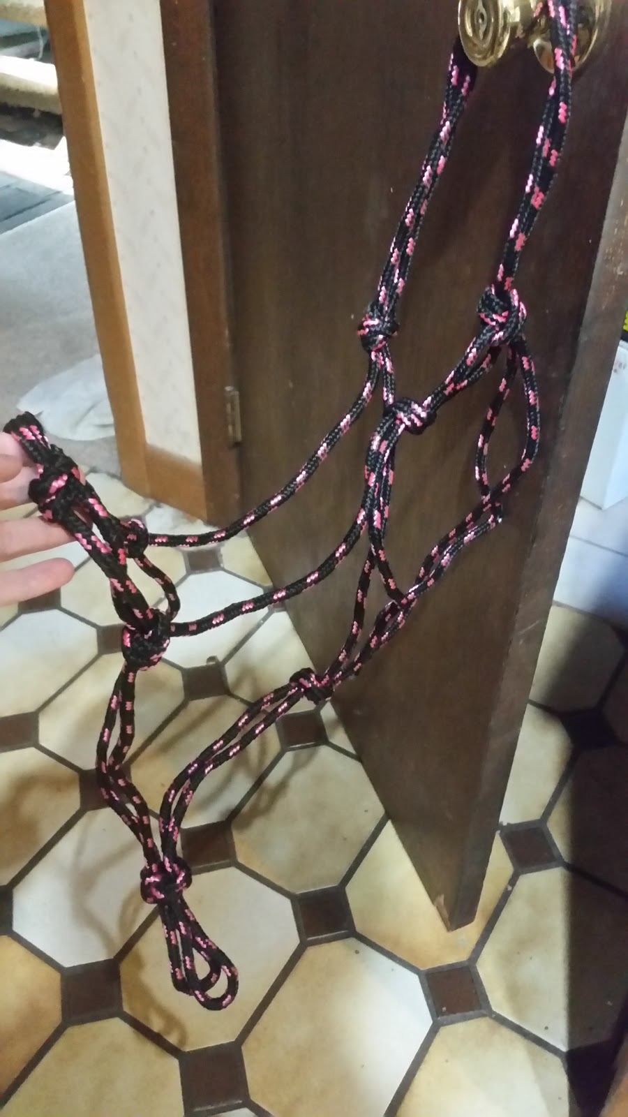 Thoughtful Equestrian: How To: Tie a rope halter