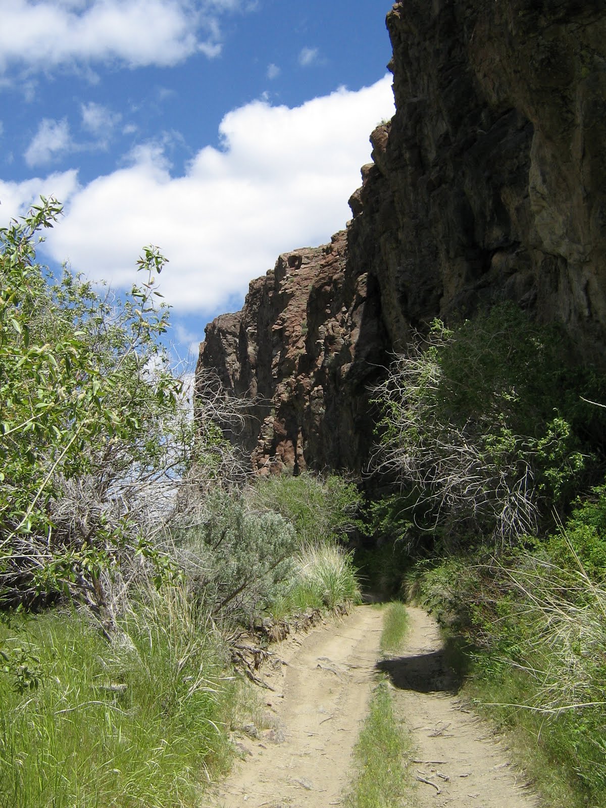 RedBear Rides: Soldier Meadows is a Slice of Heaven