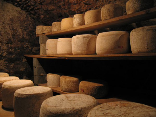 My Two Cents: What is a Cheese Cave, and when can I move in??