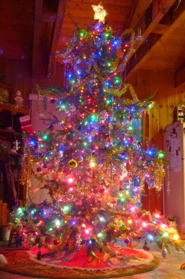 Life in the Swamp: 2014