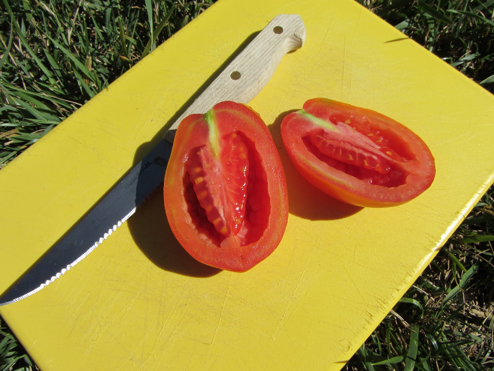 The Rusted Vegetable Garden