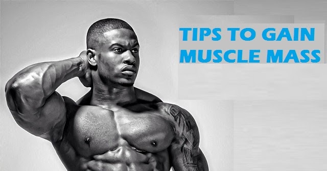 Muscle Palace Tips To Gain Muscle Mass