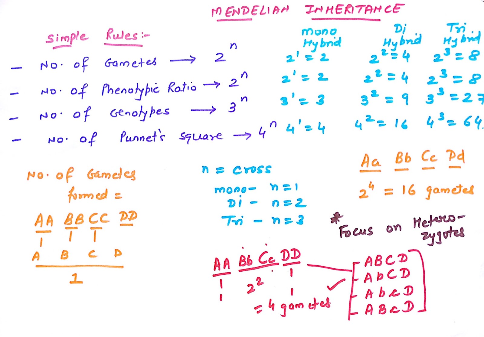 PROF. SUNIL KUMAR'S ADDABIOLOGY : GENETICS -- REVISION