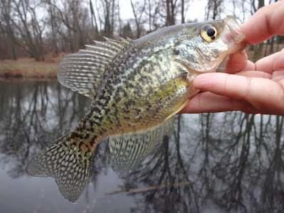 Extreme Philly Fishing: Fishing Options for Late Fall and Winter