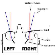 Amazing Blind Spot Experiment