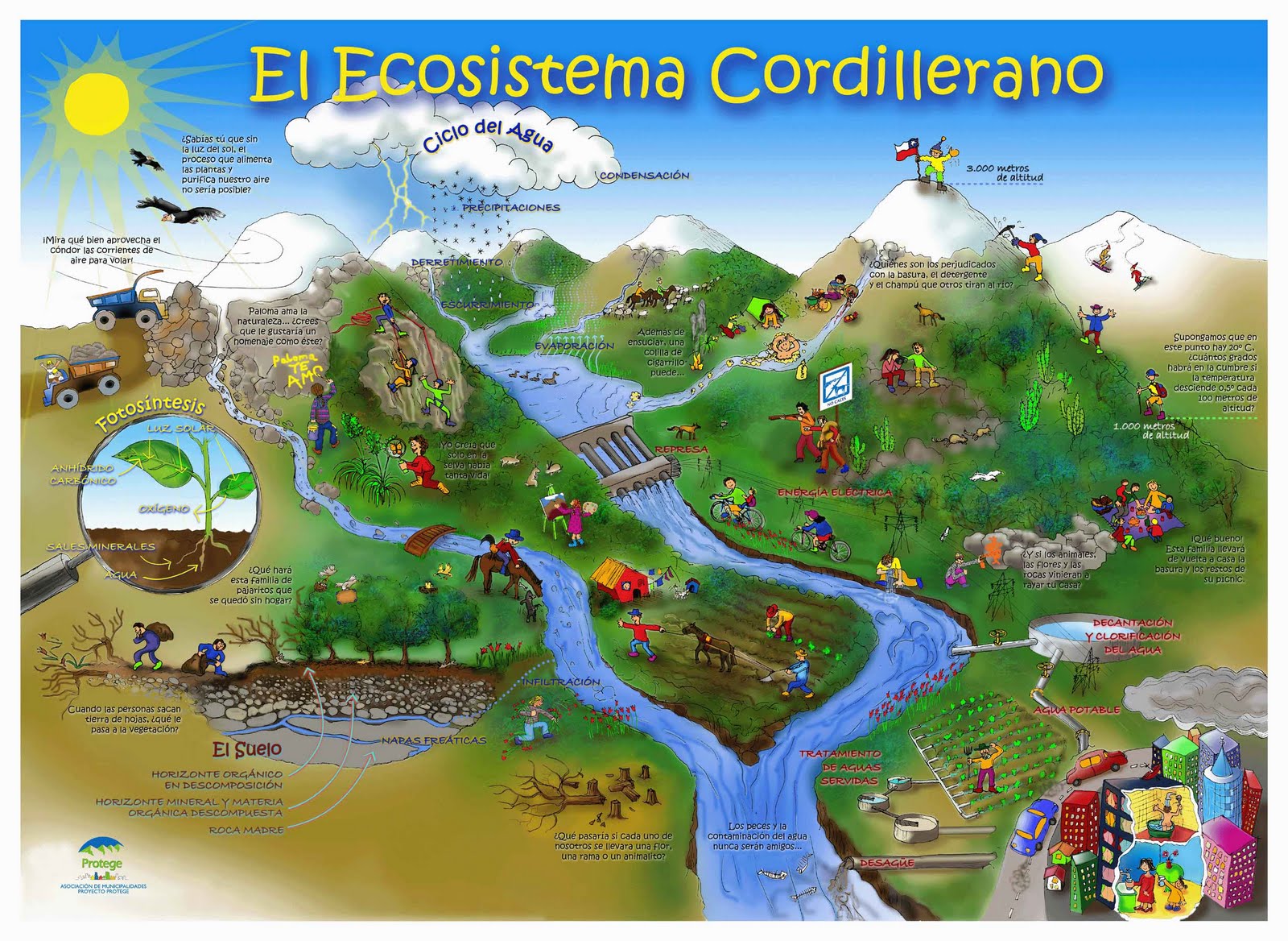 GENERALIDADES DE LOS ECOSISTEMAS: GENERALIDADES DE LOS ECOSISTEMAS