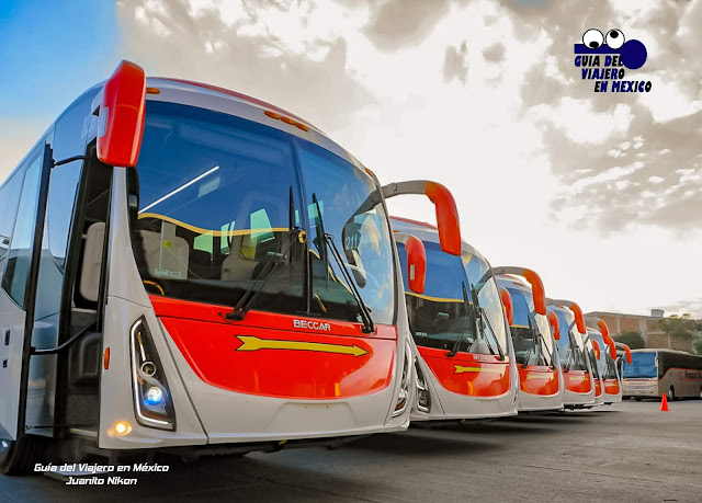 La mejor línea de autobuses en México en 2018
