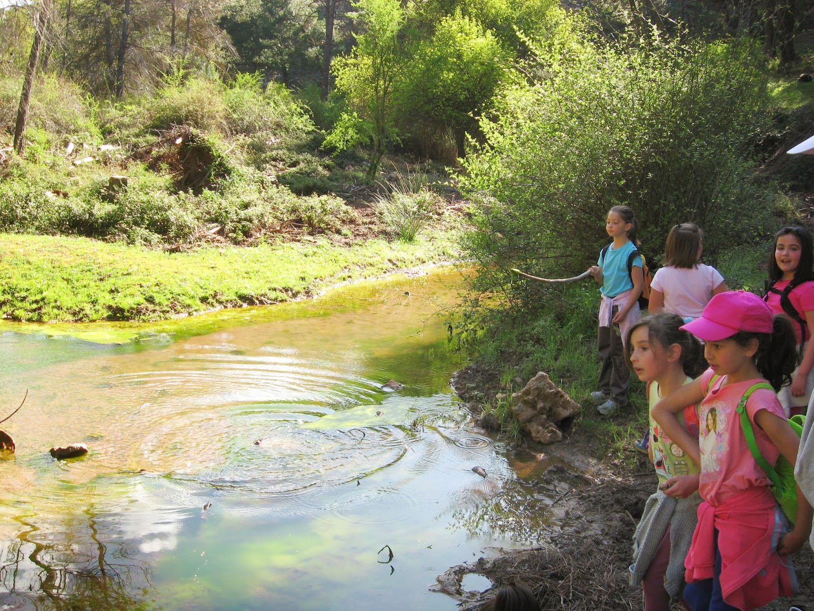 El Blog del Cole: EXCURSIÓN EN NUESTRO ENTORNO NATURAL