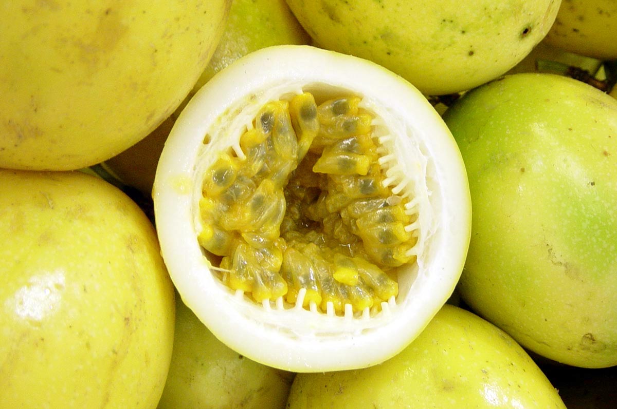 Tudo Natural Para o Bem: MARACUJÁ-calmante da natureza