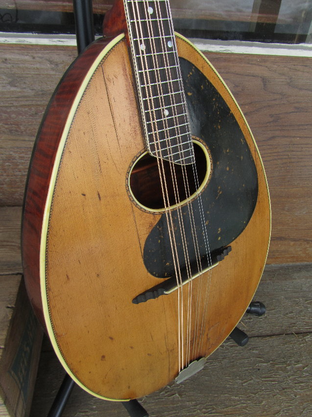 1914 Weymann Style 40 "Mandolute" Mandola