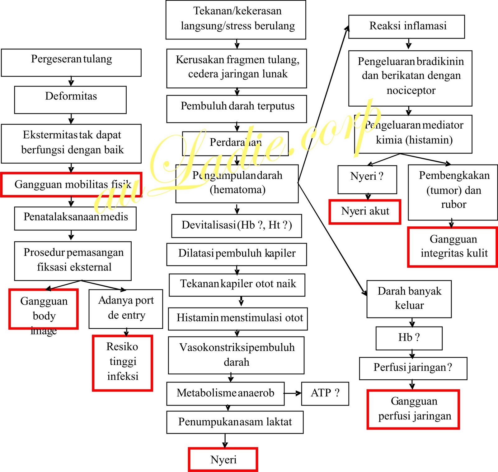 Nursing Path: Pathophysiology of Fracture| Patofisiologi Fraktur