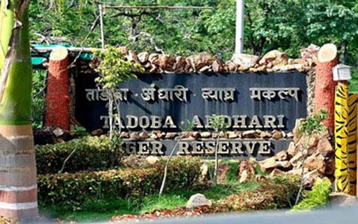 India tour travel - Culture Tourism blog