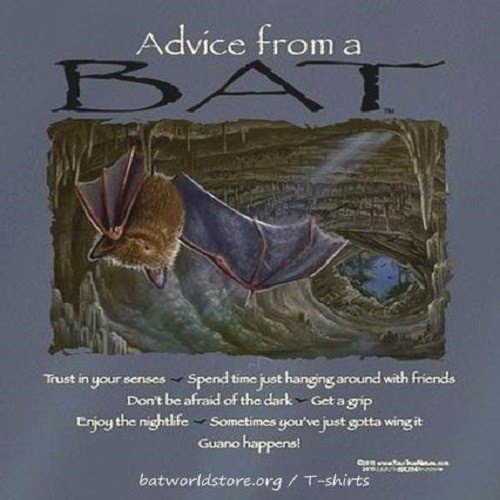 Bat World Store - Bat T-shirts