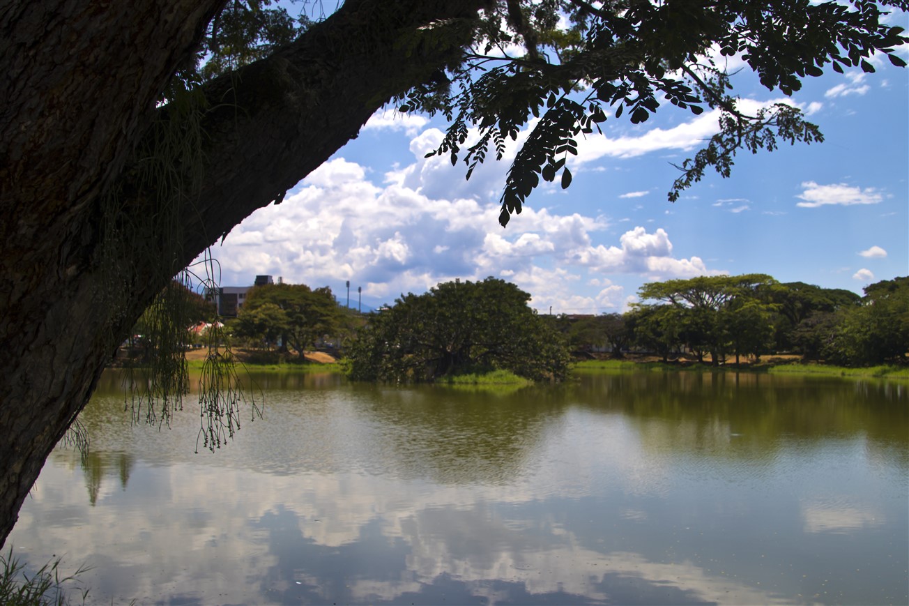 Souvenir Photo Studio, by Al Bourassa: Sunday Jan 27, 2019 Lago Chilicote