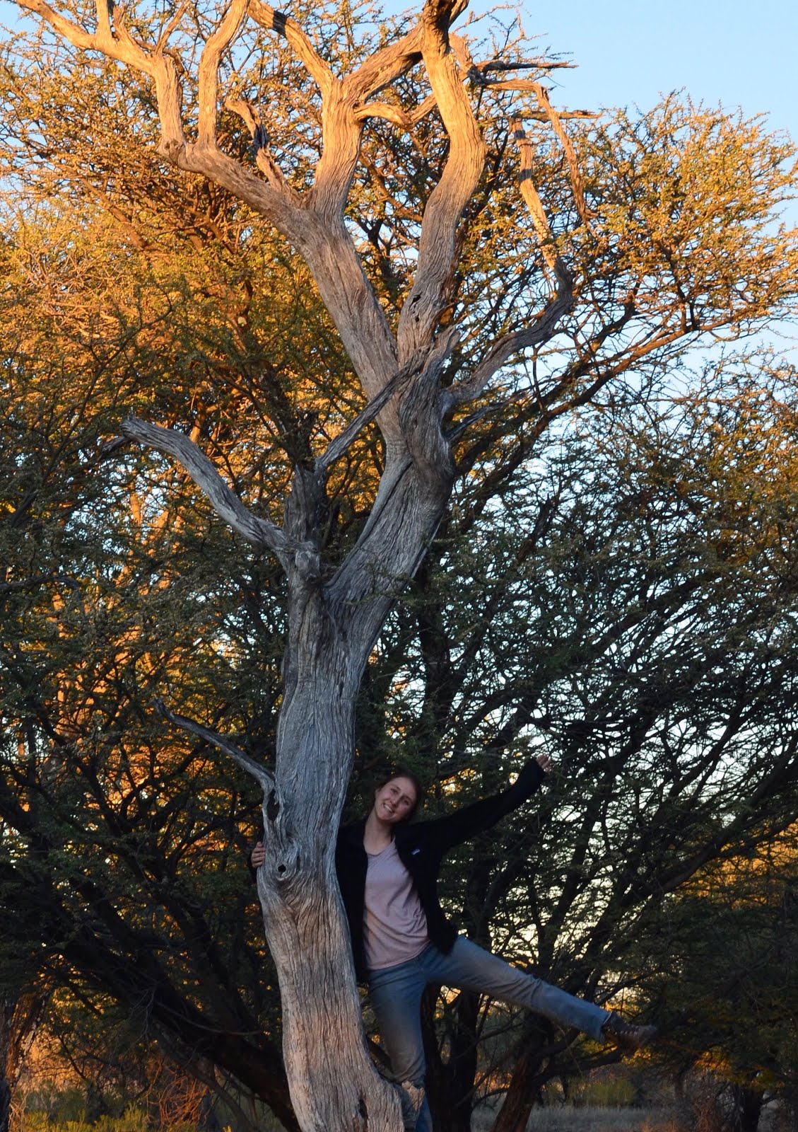 Study Abroad, Botswana: 2018