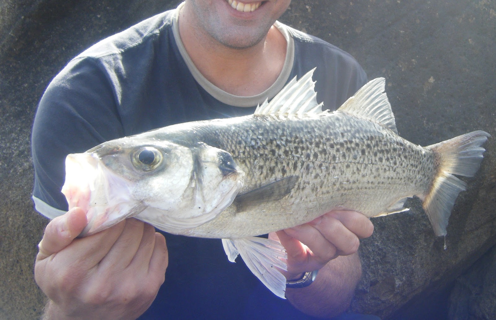 Pesca Artificial: En la playa